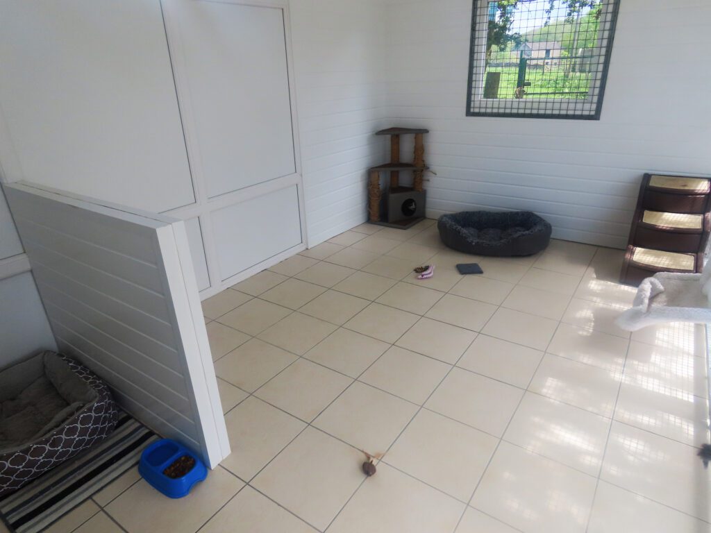 Glyndale Kennels & Cattery | Photo Gallery